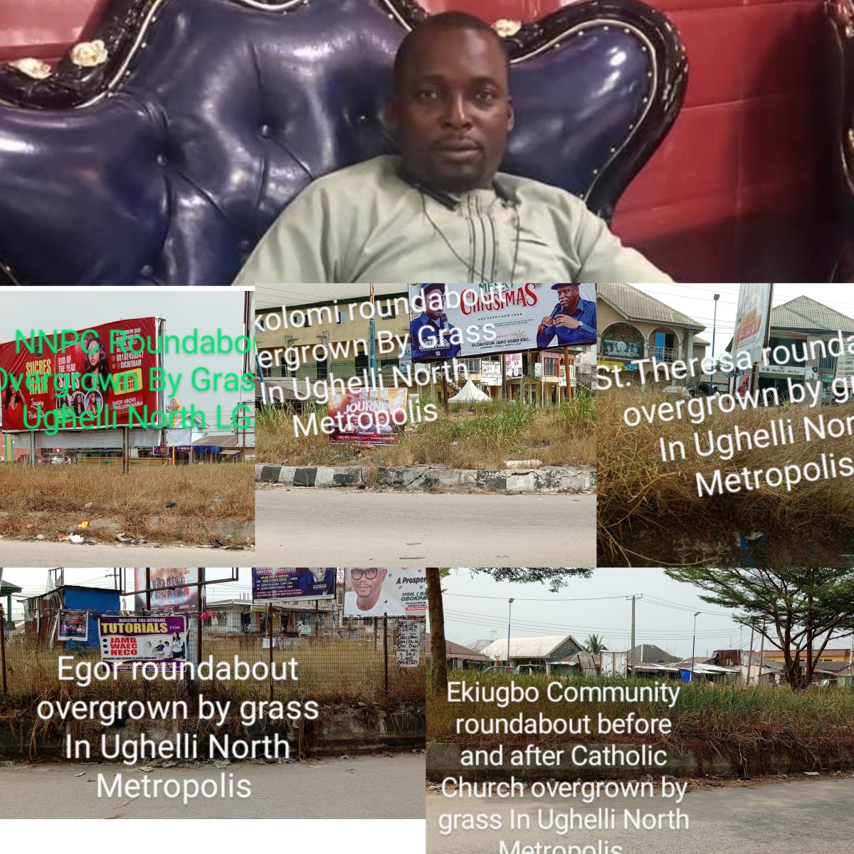 Reptiles Set To Take Over Major Roundabouts In Ughelli North Metropolis ...